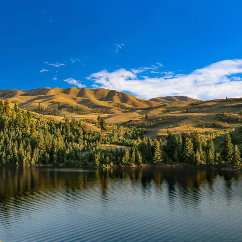 Idaho Real Estate | Idaho Homes & Property for Sale